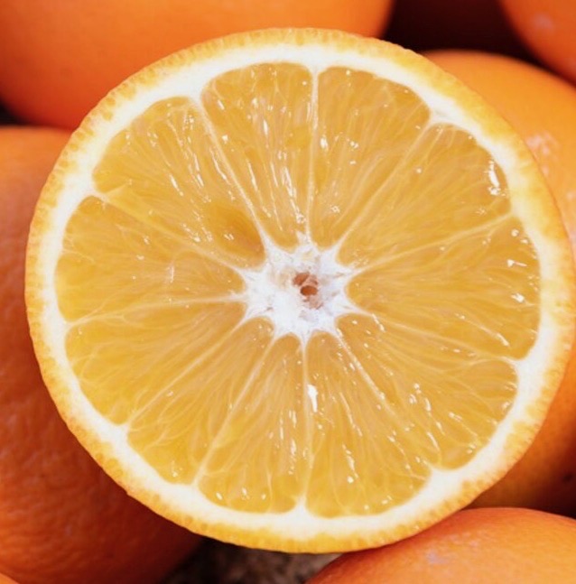 Chanoyu and the Orange – Chanoyu Decoded