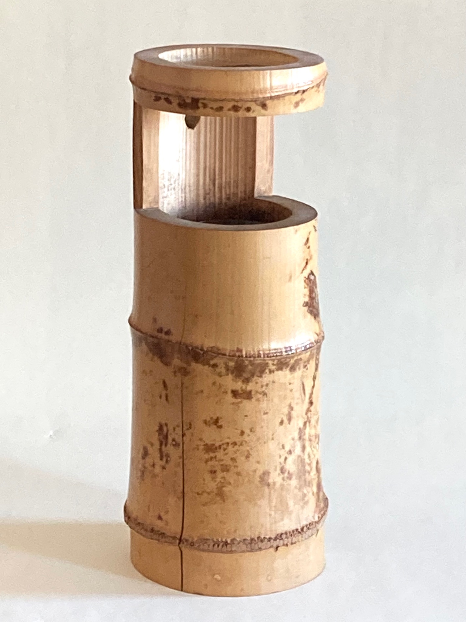 Tea in January and the Willow - Chanoyu Decoded