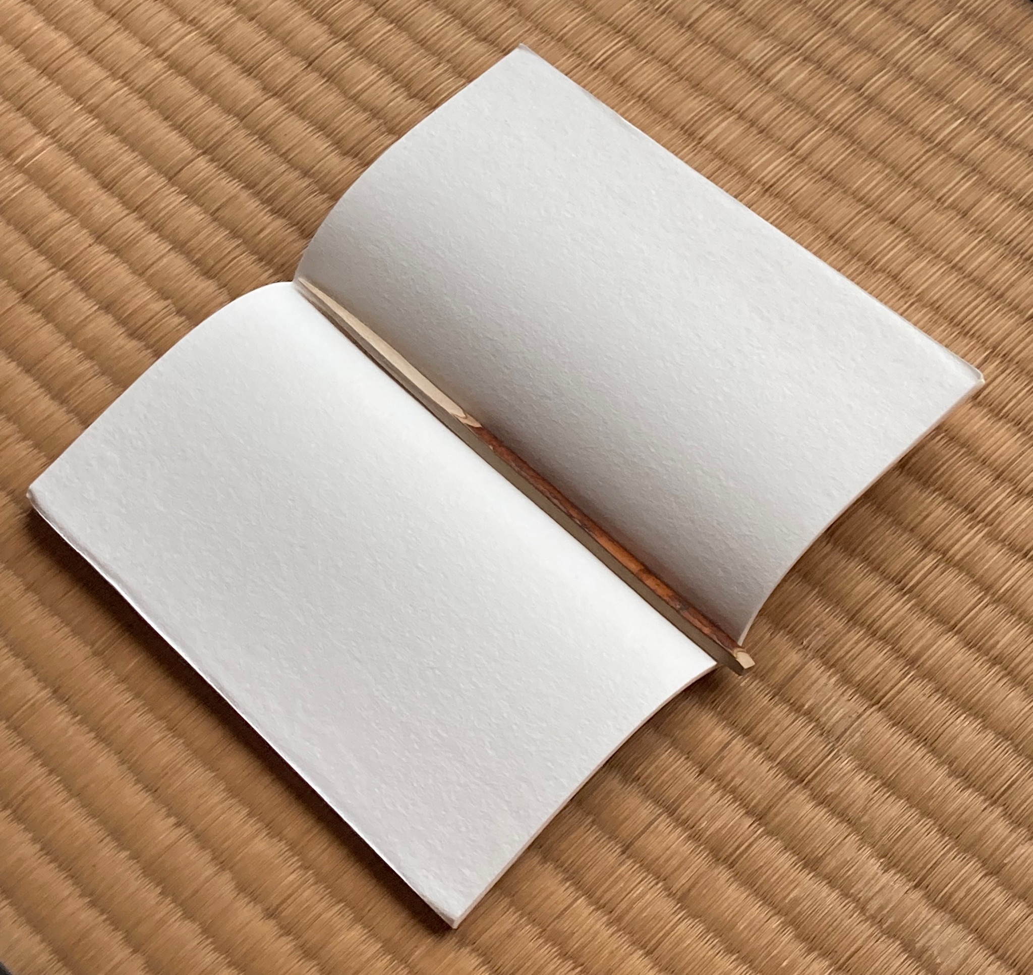 Kaishi and Kuromji – Chanoyu Decoded